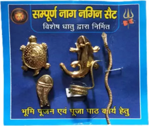 Zhunmun sampoorna Metal Naag Naagin Set for Bhoomi Poojan Stoneware ...