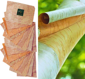 The Atharva-veda 20Pc Original bhojpatra sheet, bhoj patra for yantra ...