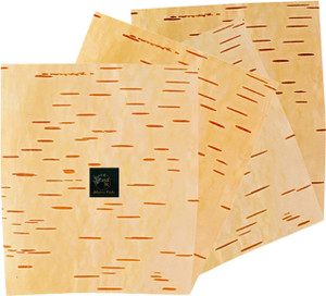 The Atharva-veda 4Pc Original bhojpatra sheet, bhoj patra for yantra ...