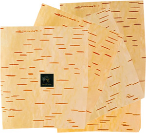 The Atharva-veda 7Pc Original bhojpatra sheet, bhoj patra for yantra ...